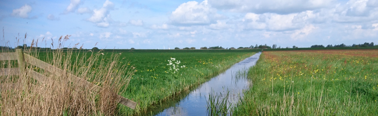 Beeldmateriaal - Bosk & Greide